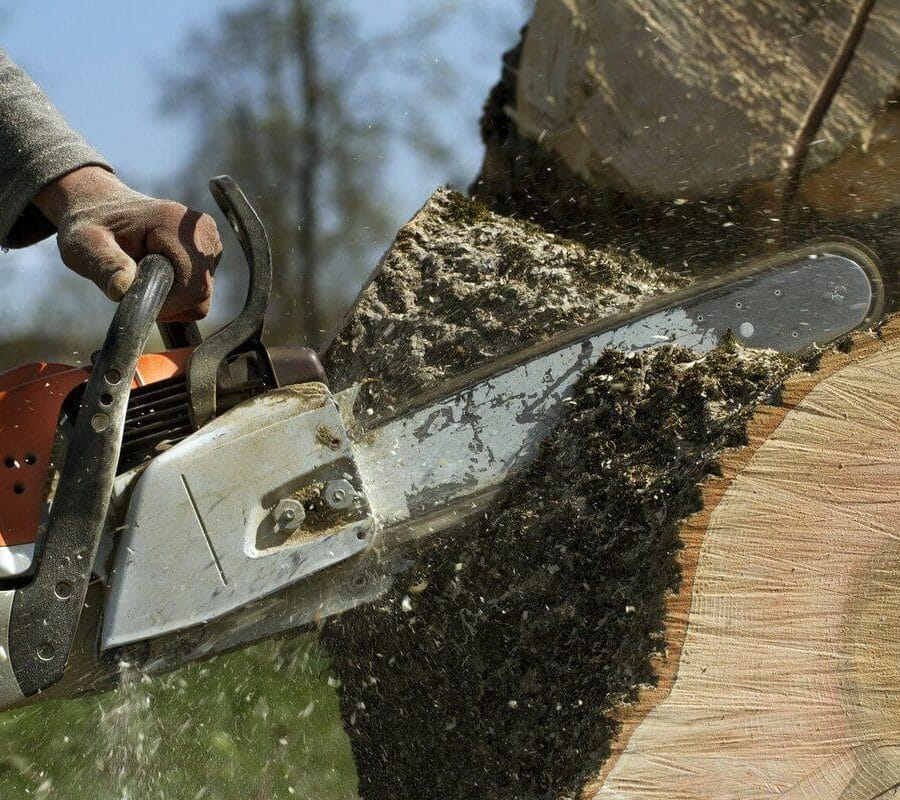 Tree Felling Pros East London | Quick List Quick List